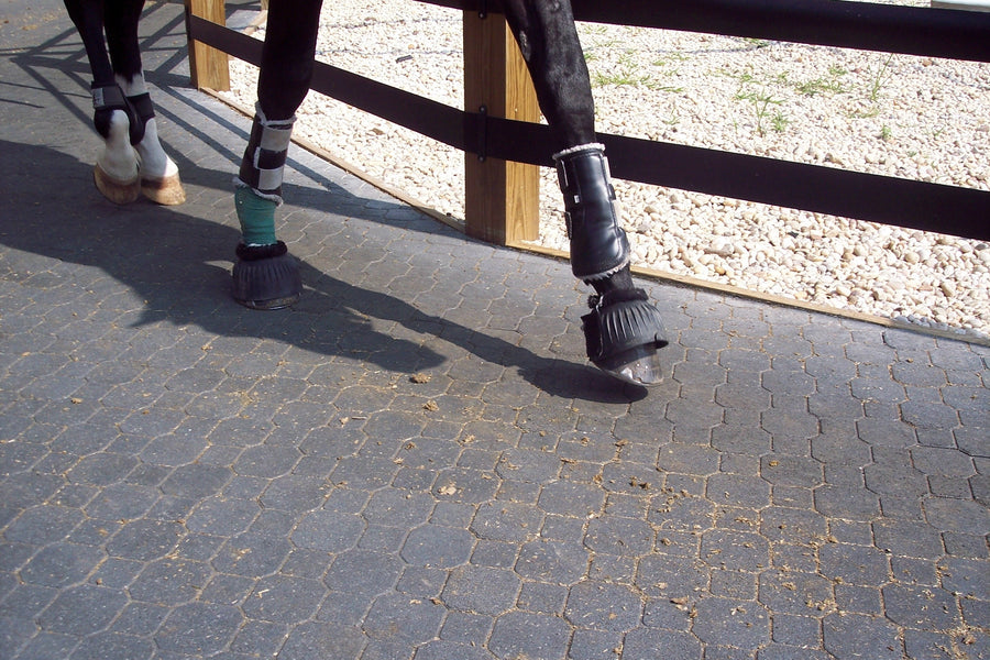 SoftStall | Leading Stall Flooring Solutions | Horse Stable Flooring